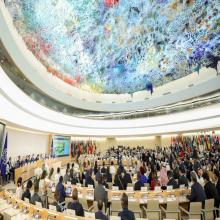 ILO Live - Adoption of Committee reports